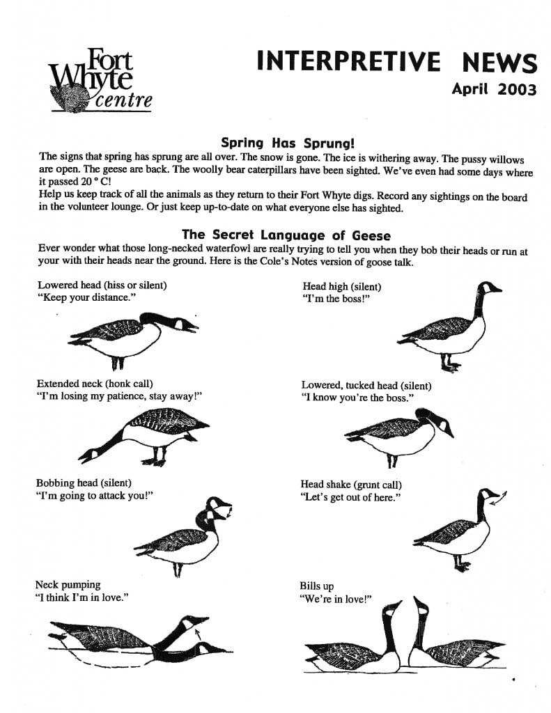 FortWhyte Alive | The Secret Language of Geese - FortWhyte Alive
