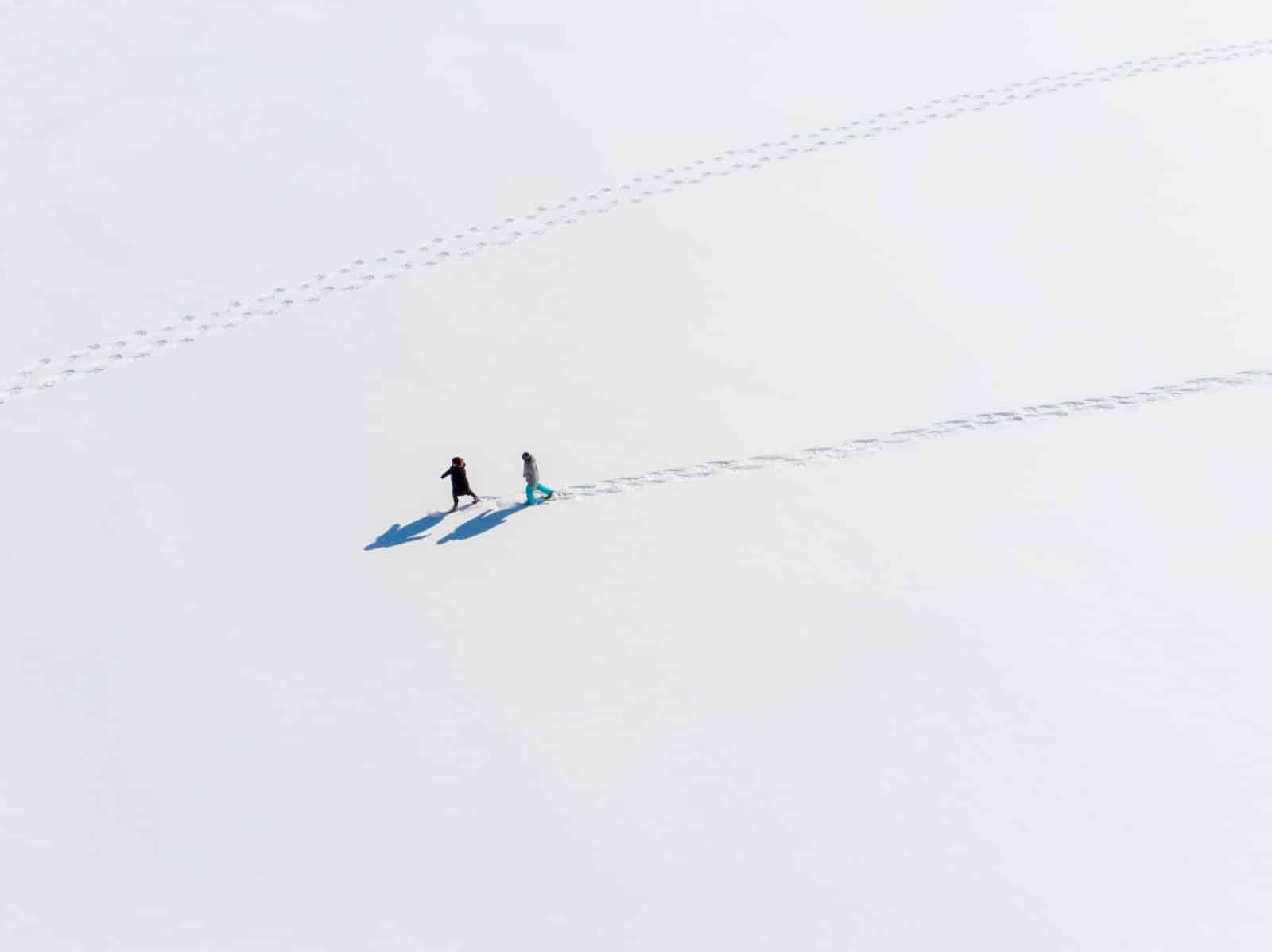 FortWhyte Alive | Experiences - FortWhyte Alive