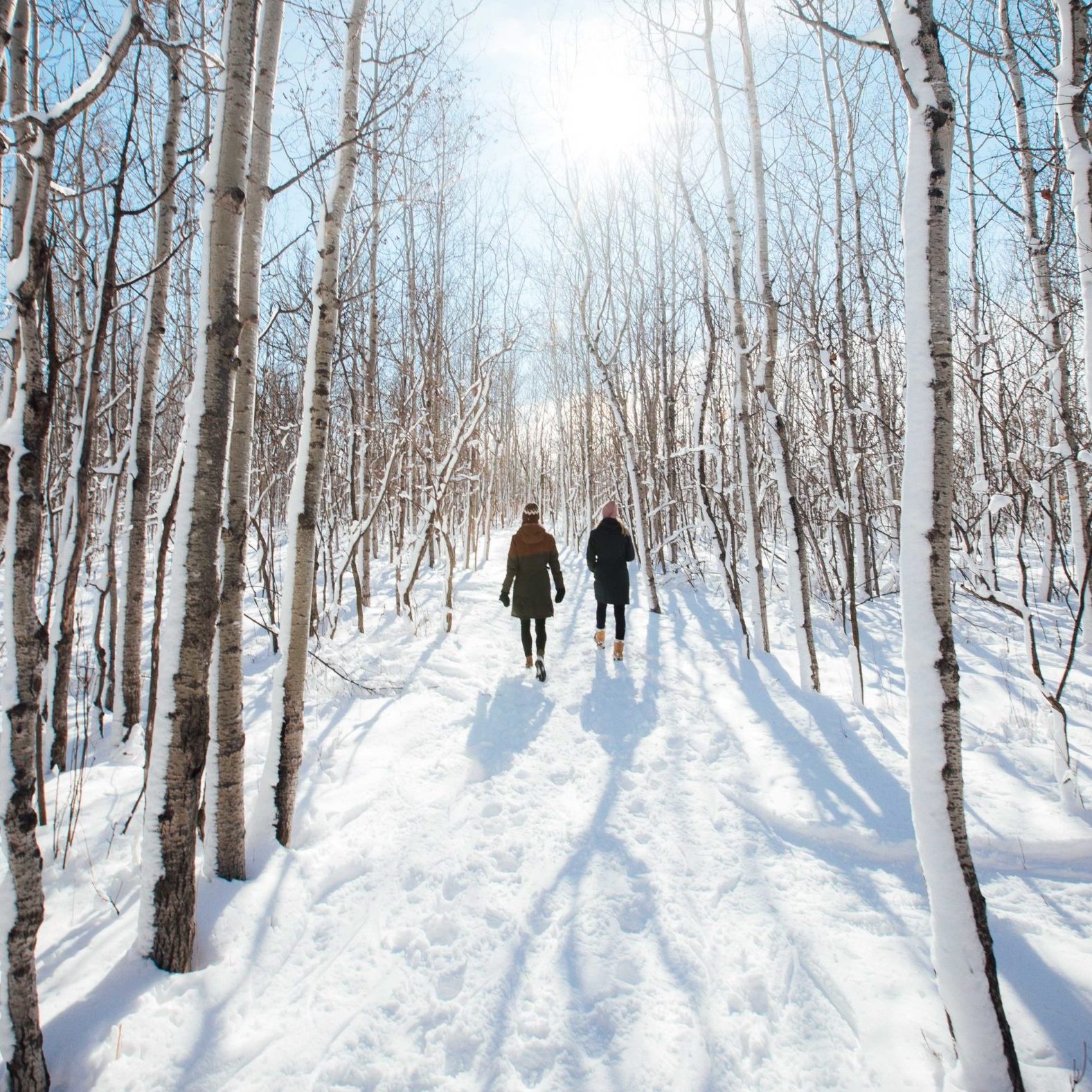 FortWhyte Alive | Trails + Maps - FortWhyte Alive