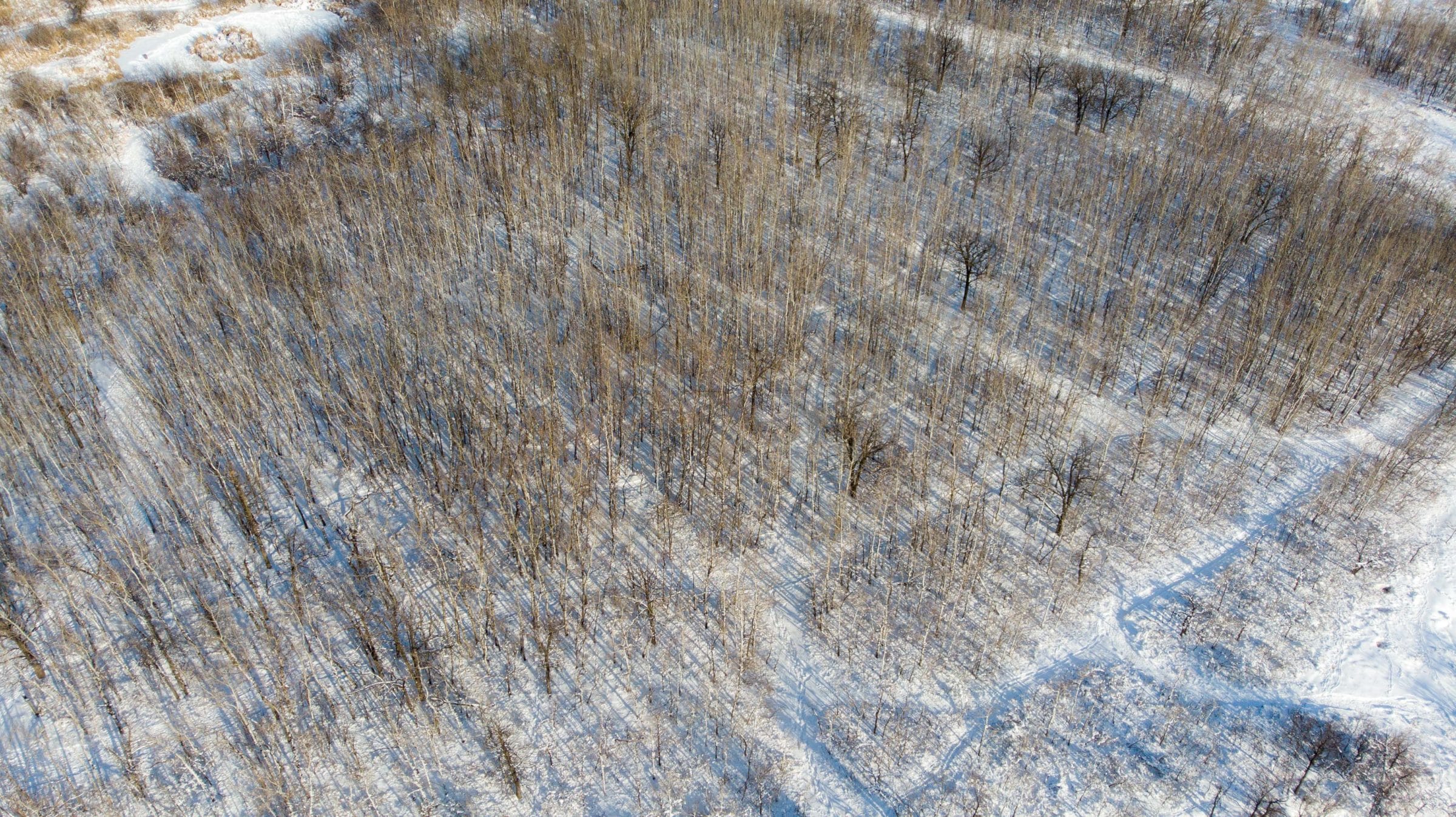 FortWhyte Alive | Trails + Maps - FortWhyte Alive