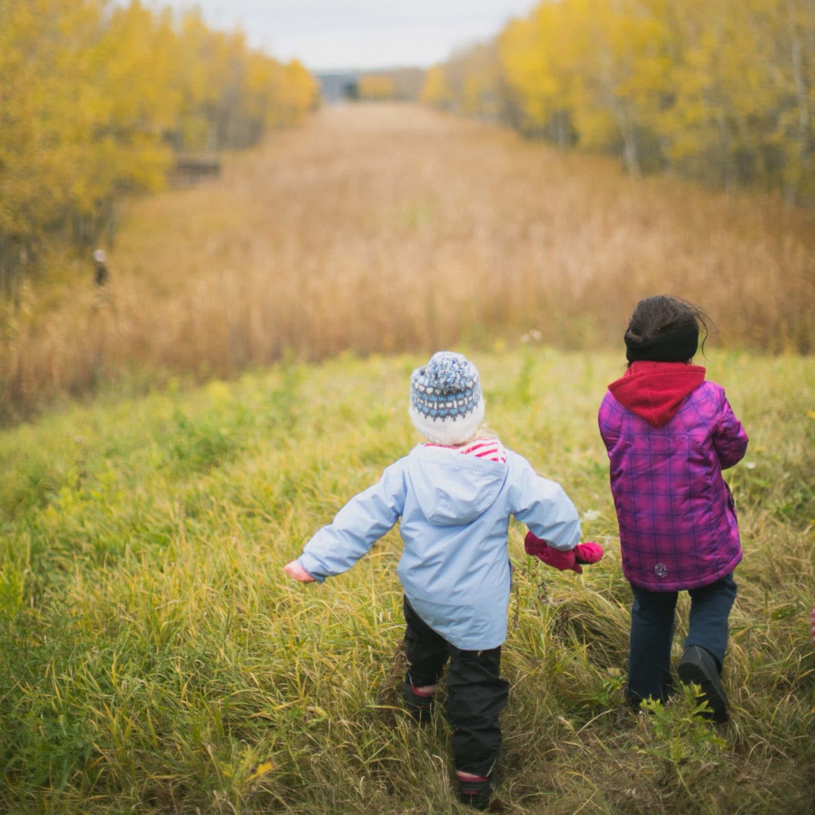 FortWhyte Alive | Trails + Maps - FortWhyte Alive