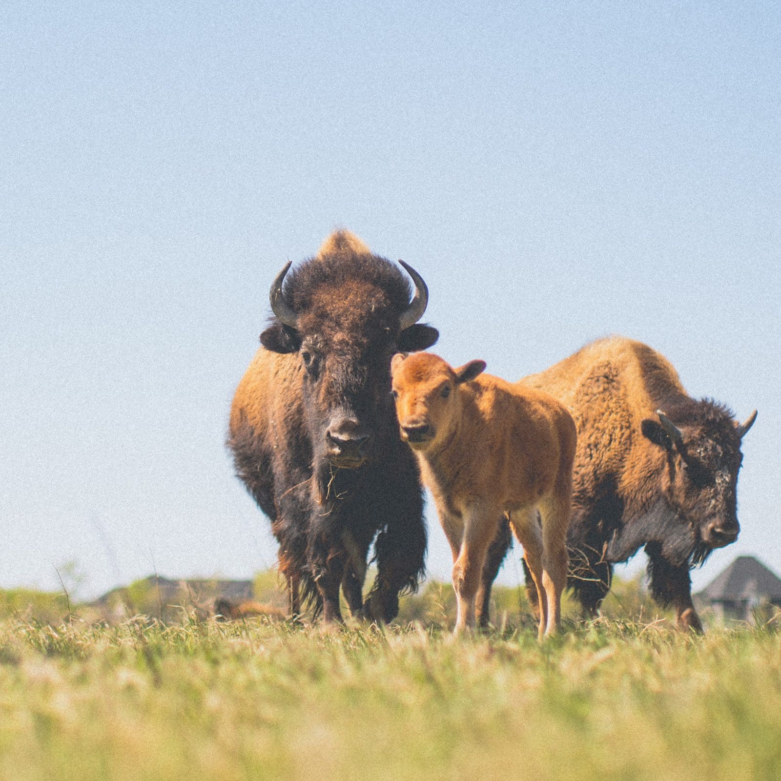 FortWhyte Alive | Get closer to nature with Eco Tours - FortWhyte Alive