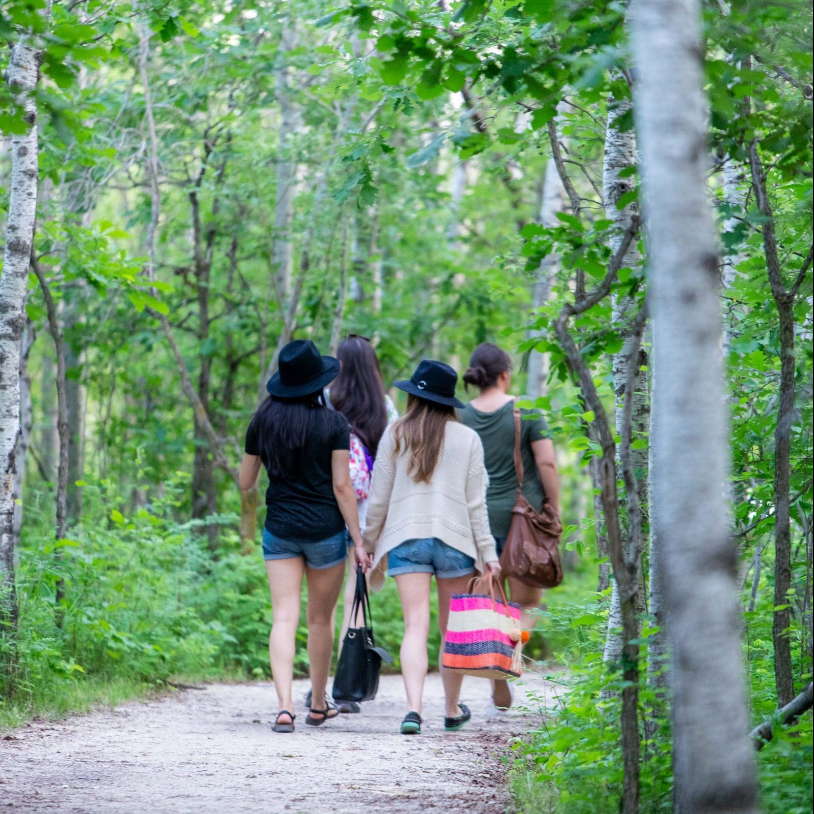 FortWhyte Alive | Hiking + Walking - FortWhyte Alive
