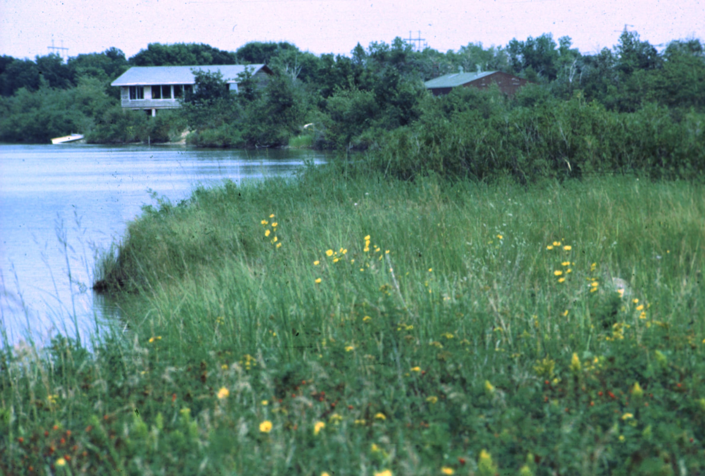 FortWhyte Alive | The History of FortWhyte Alive: From Cement to ...